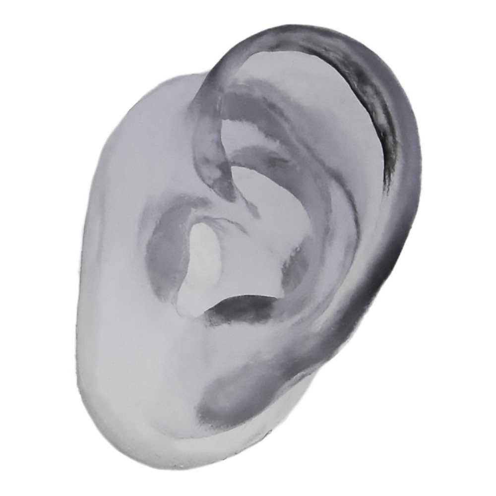 Silicone Ear Model (Left Ear) - Puretone Professionals