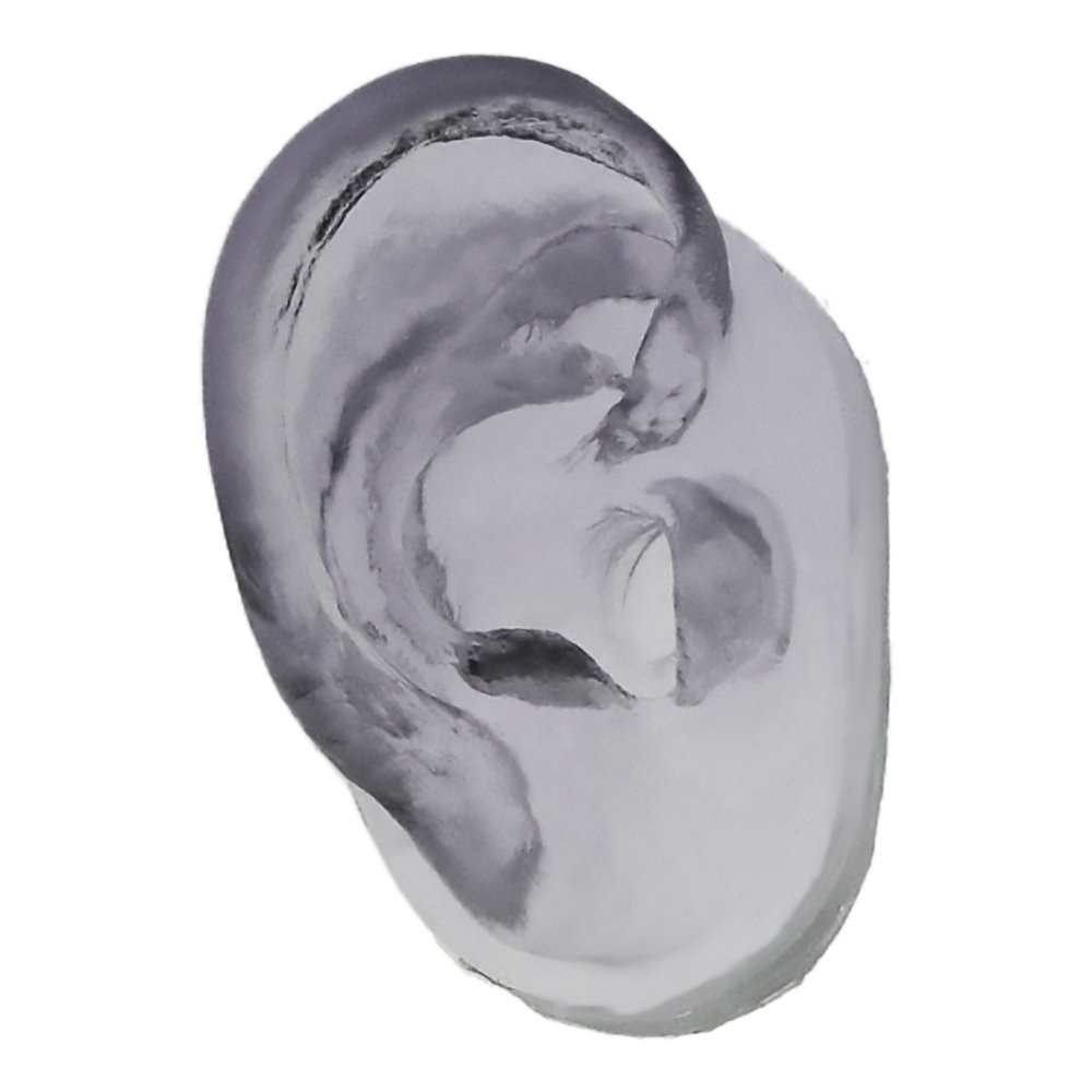 Silicone Ear Model (Right Ear) - Puretone Professionals